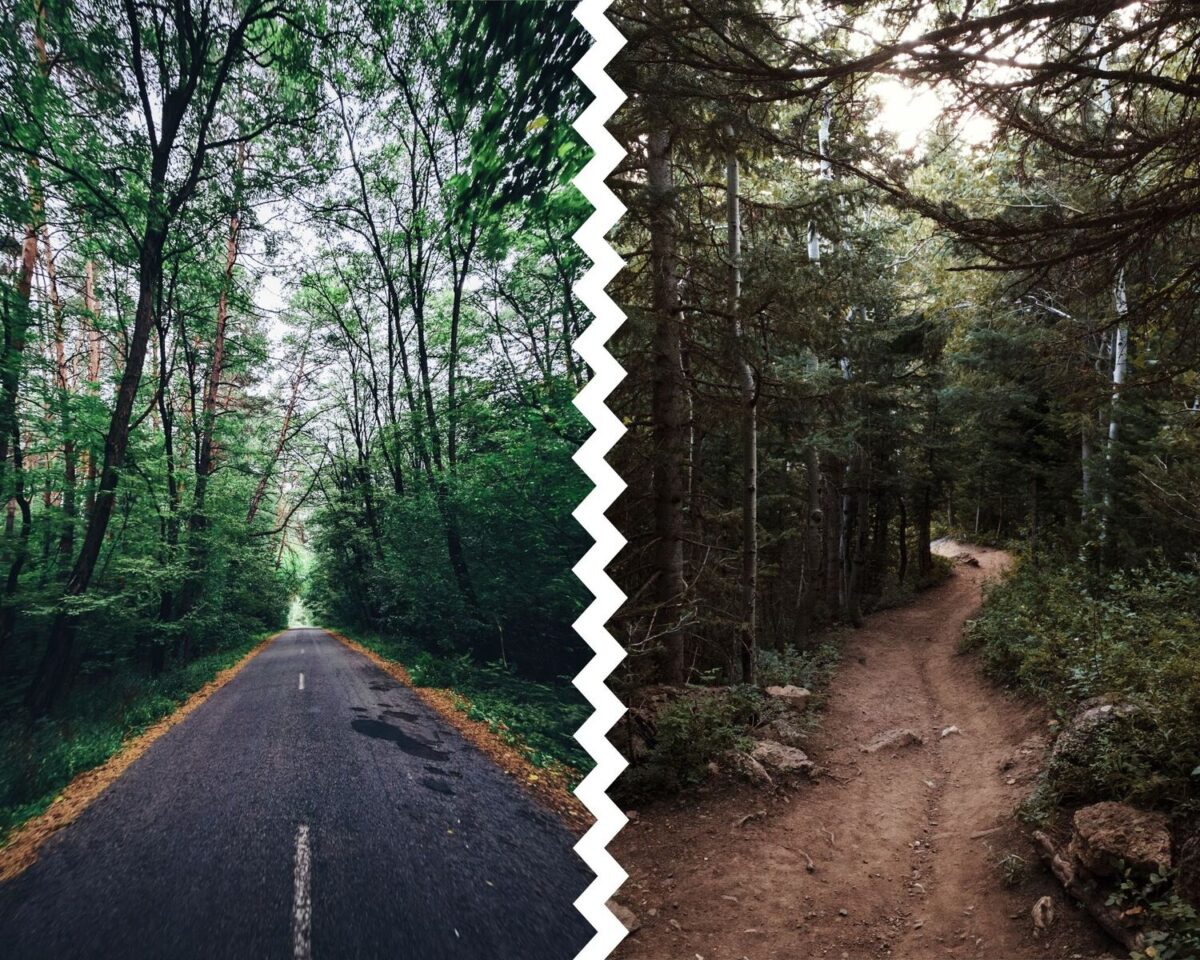 How are Road Running and Trail Running Different? A Helpful Guide – The ...