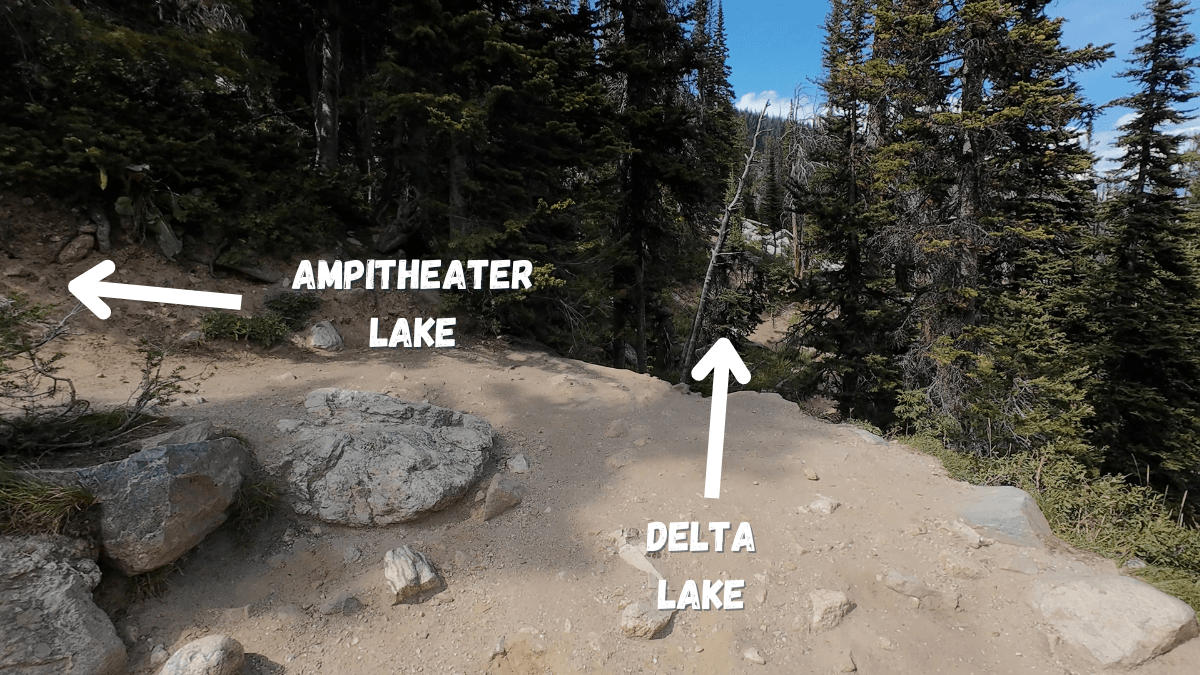 How To Run the Delta Lake Trail in Grand Teton